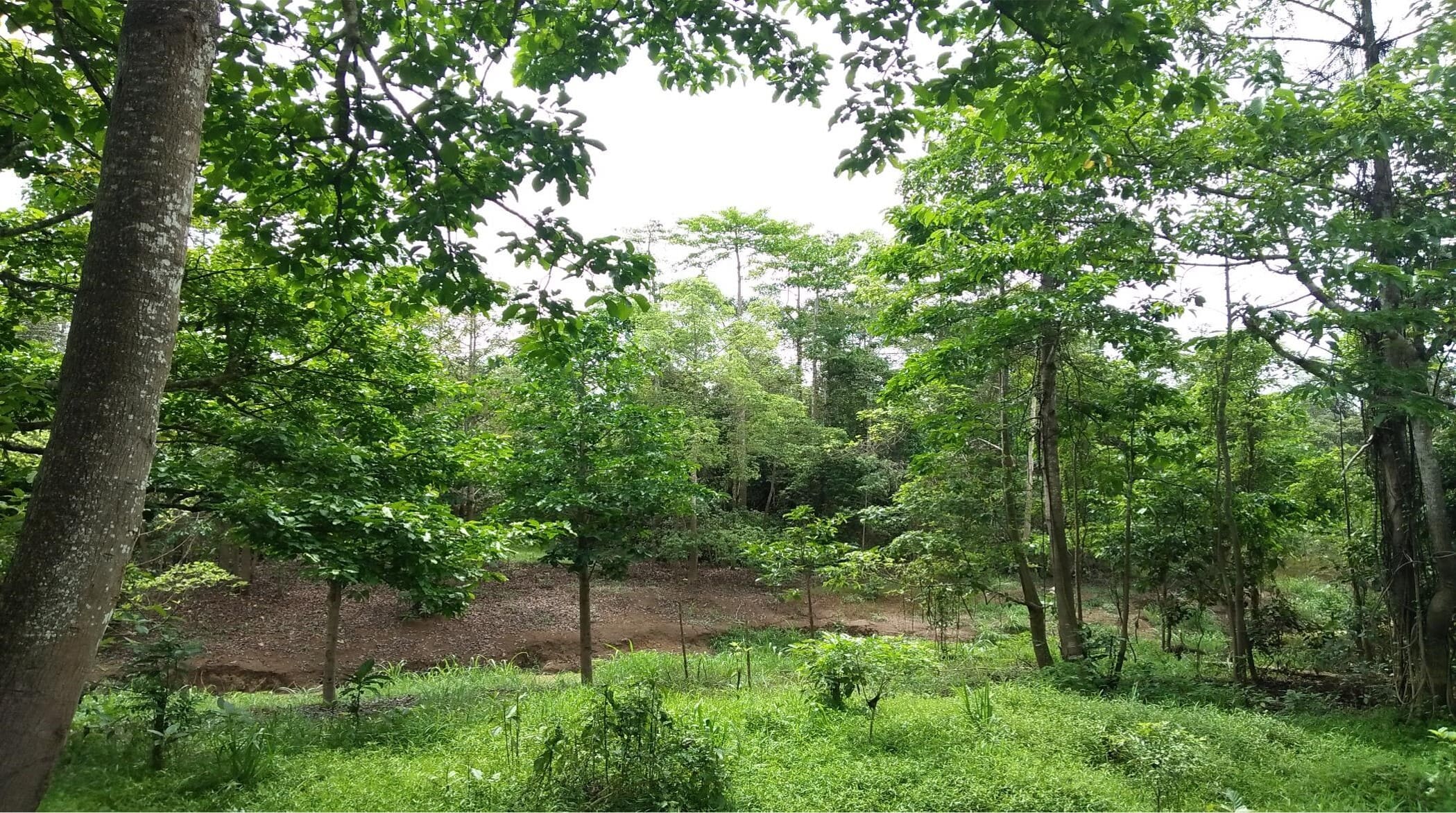 Nurturing A Living Legacy Across IOI